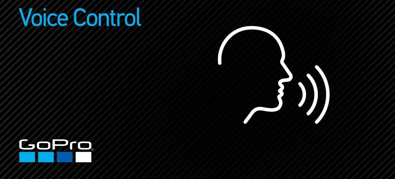 Best GoPro Smart Remote Control (Updated For 2022) - Capture Guide